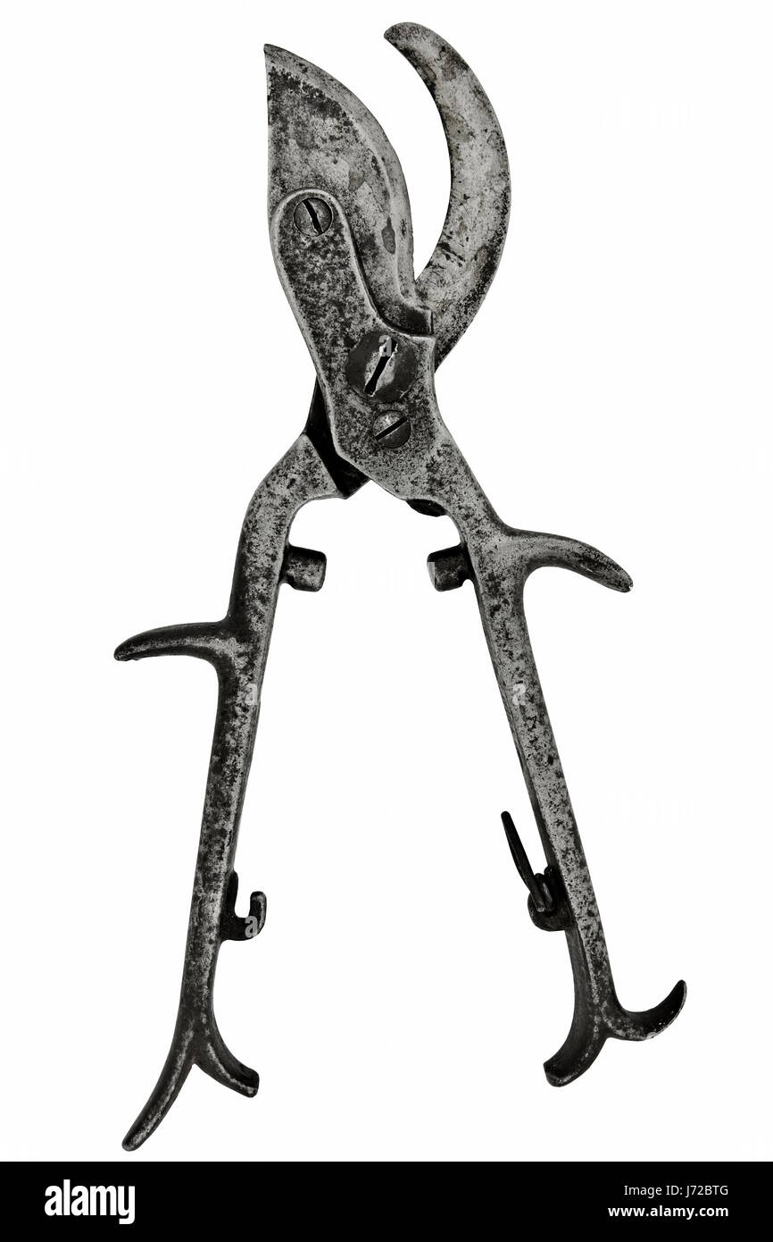 tool vintage rusted gardening clippers tool object macro close-up macro ...