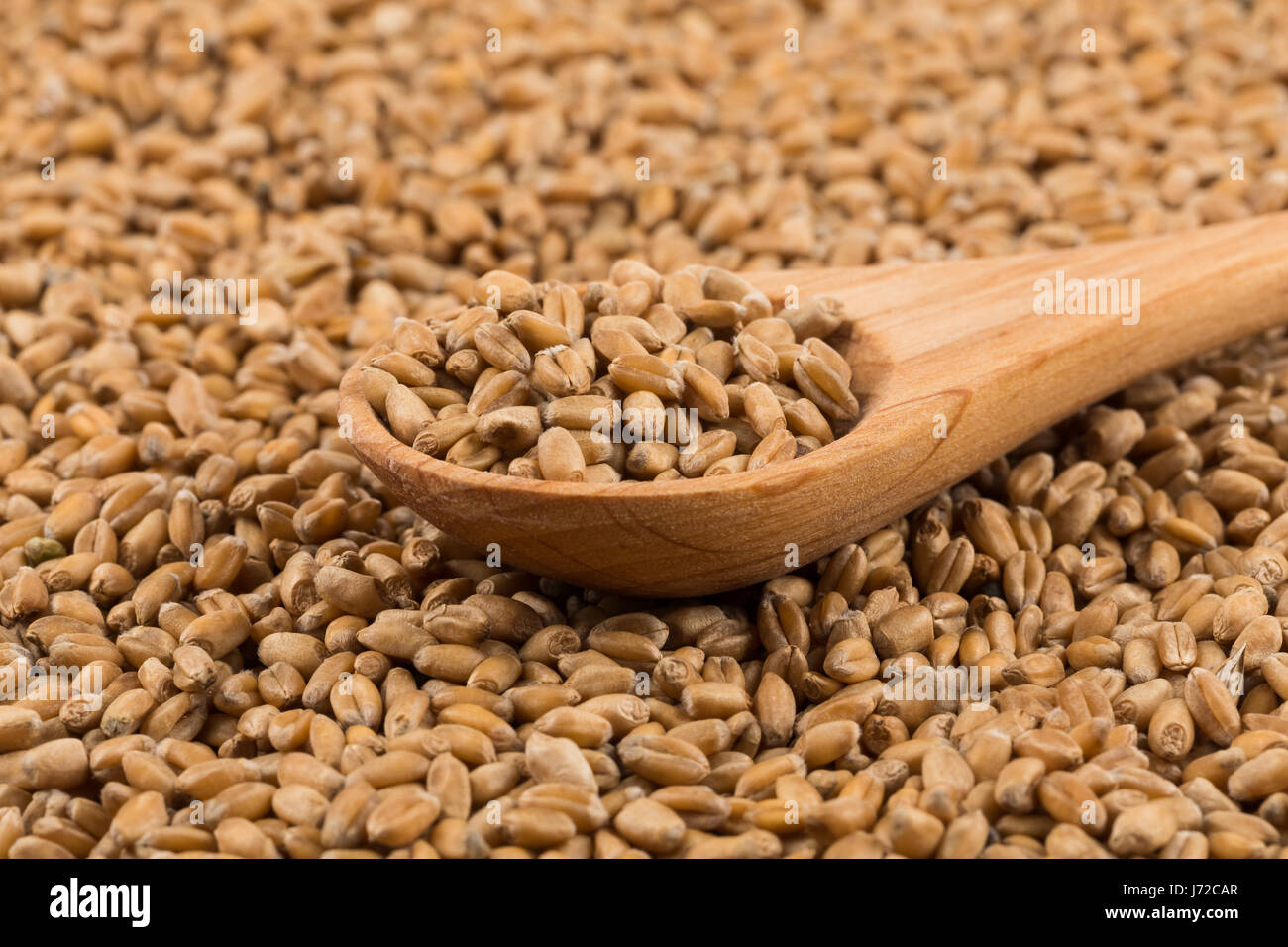 Spelt grain (dinkel wheat) on a spoon and background Stock Photo - Alamy