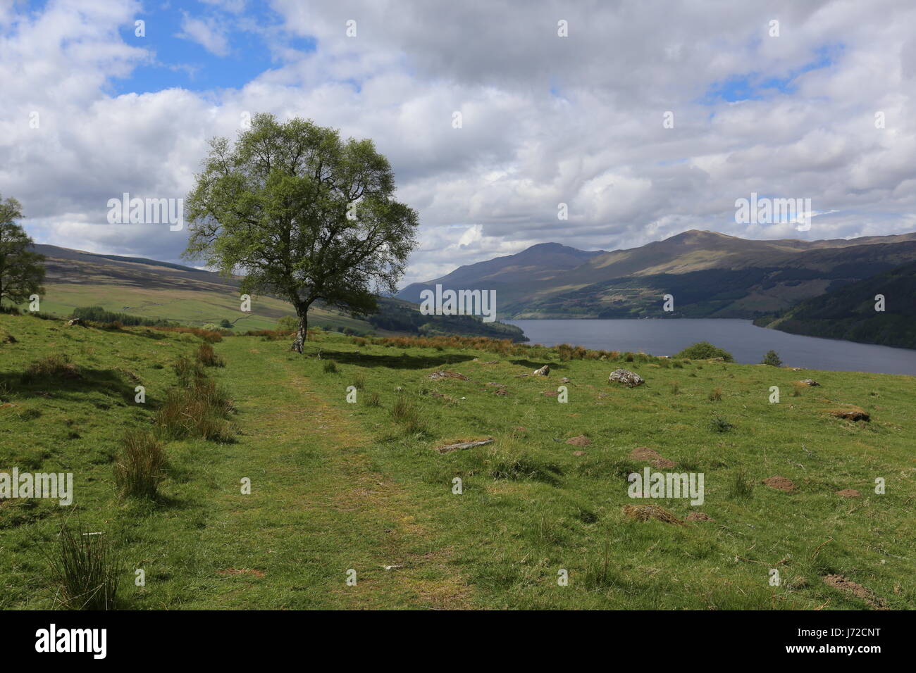 Rob Roy Way and Loch Tay Scotland May 2017 Stock Photo - Alamy
