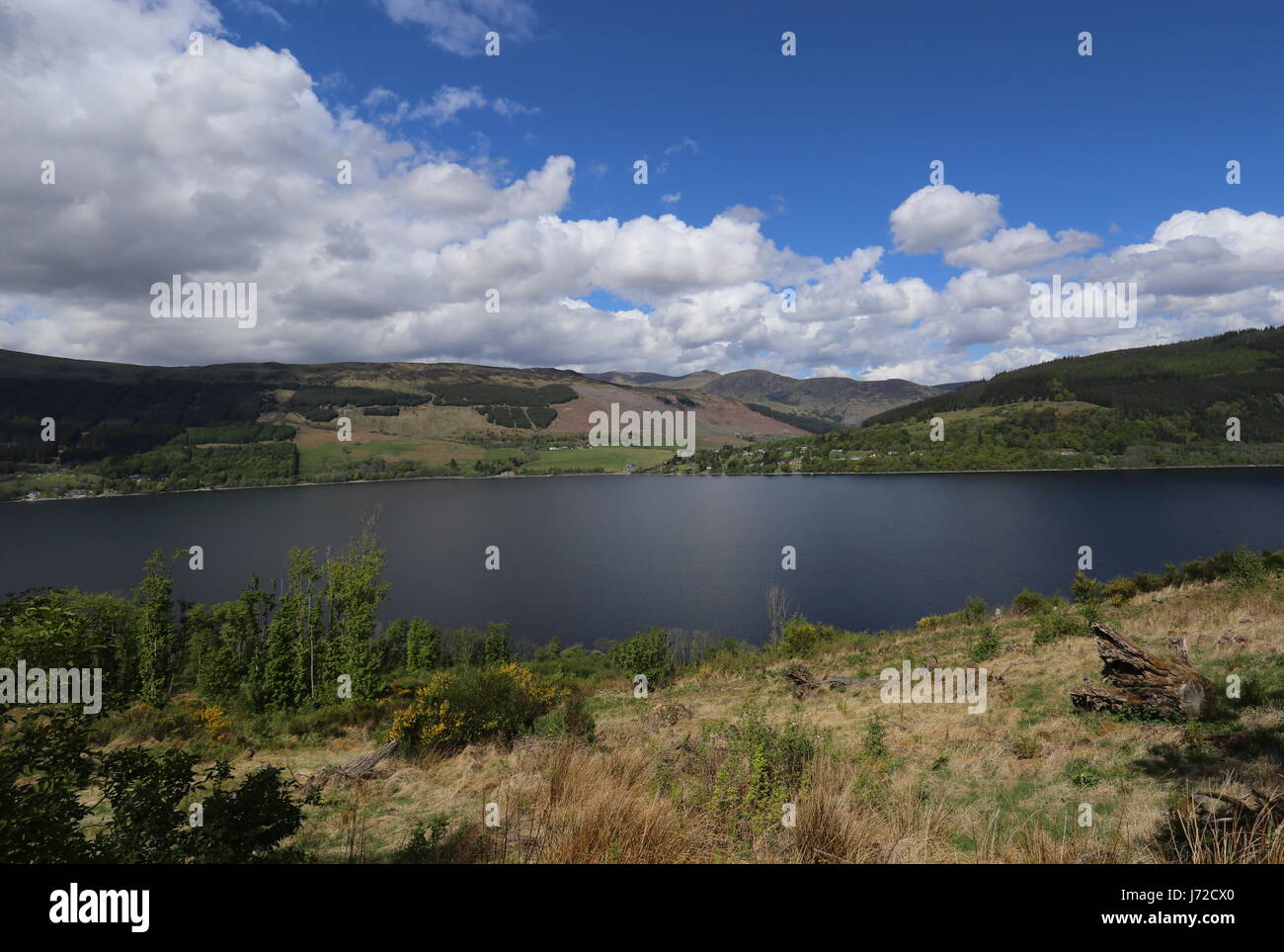Fearnan and Loch Tay Scotland May 2017 Stock Photo - Alamy