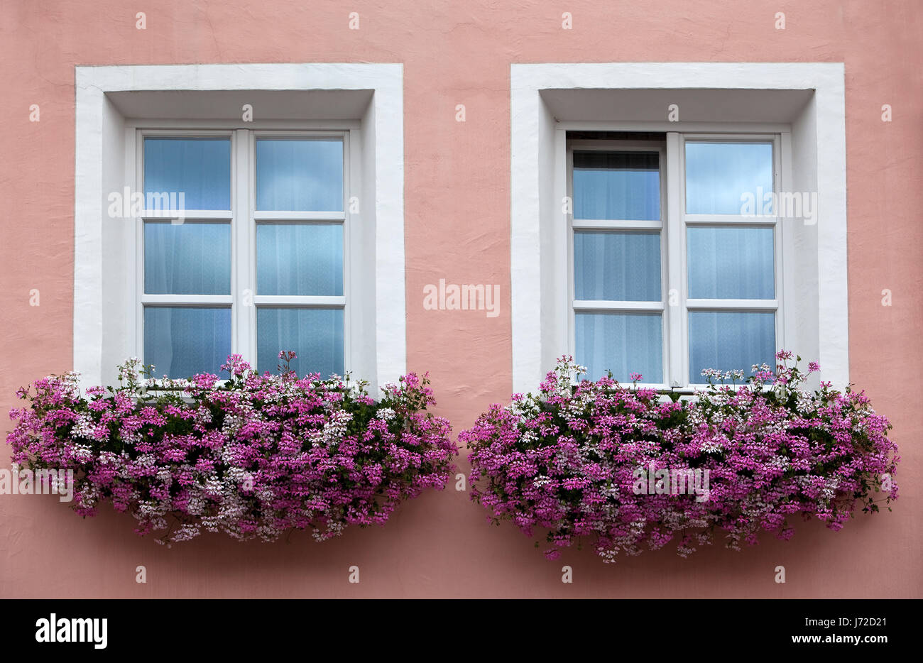 window porthole dormer window pane flower flowers plant house wall two ...