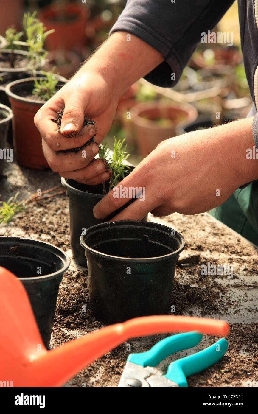 environment enviroment model design project concept plan draft tree ...