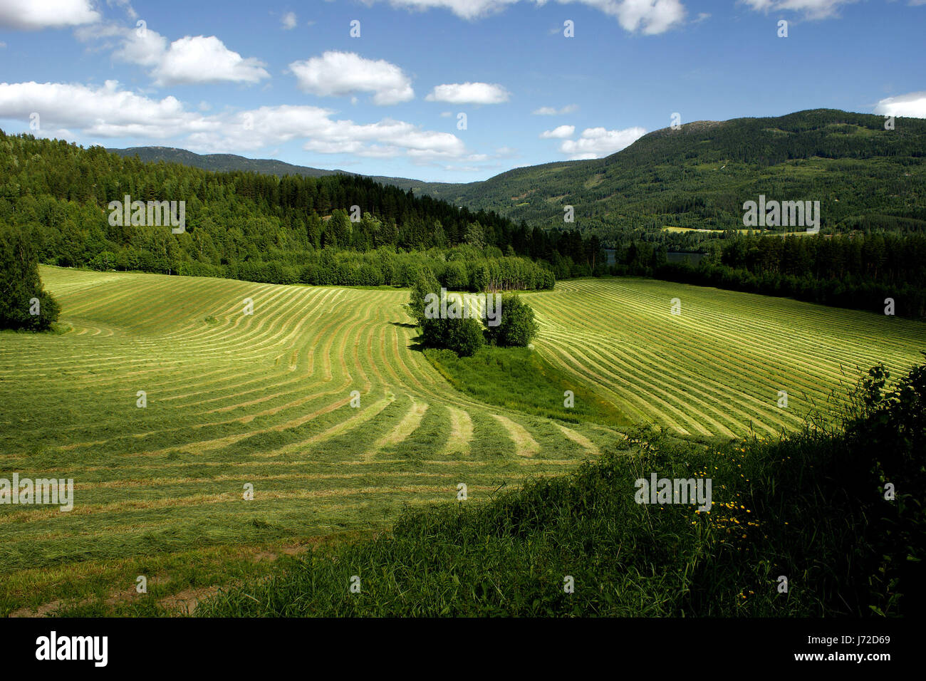 Broad acre farming hi-res stock photography and images - Alamy