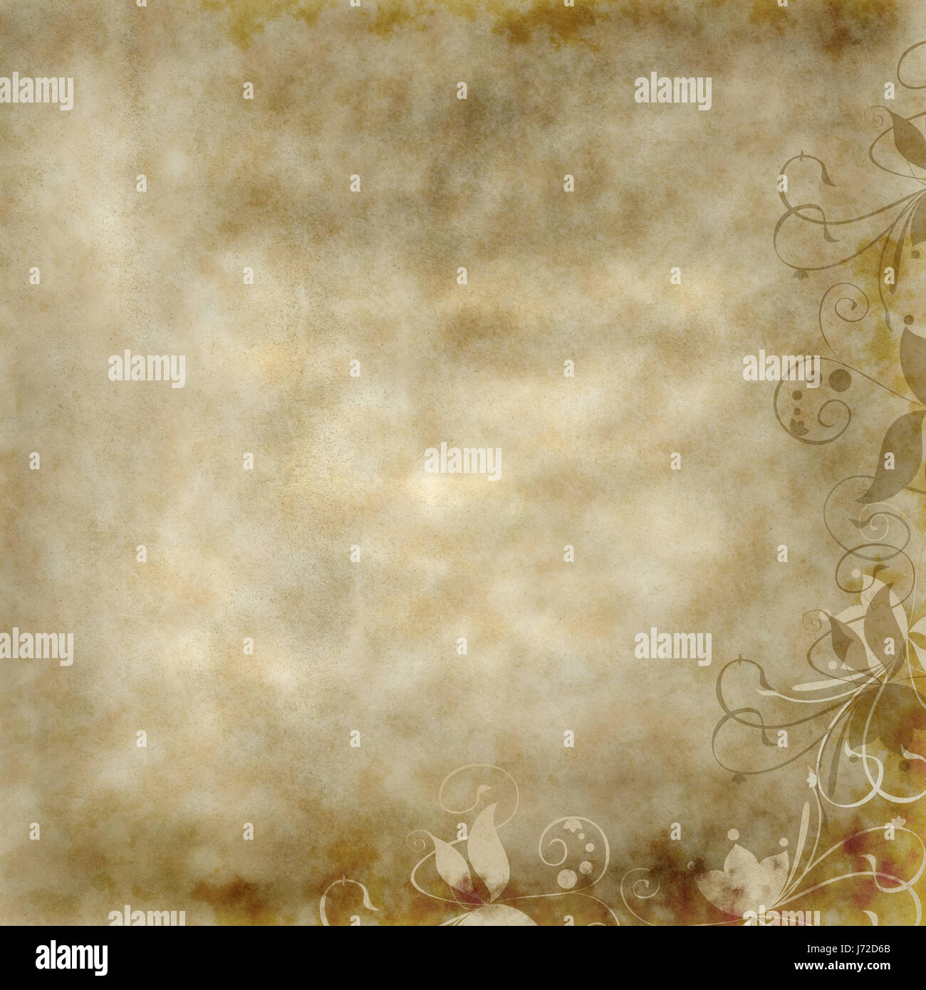 illustration backdrop background floral design colour model design ...