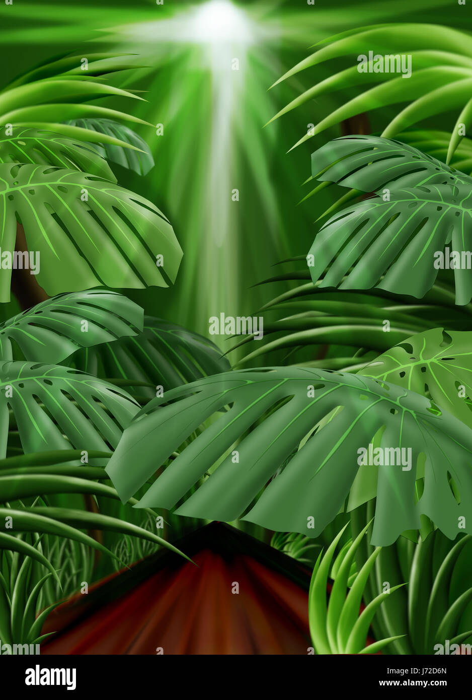 jungle illustration path way backdrop background beautiful beauteously ...