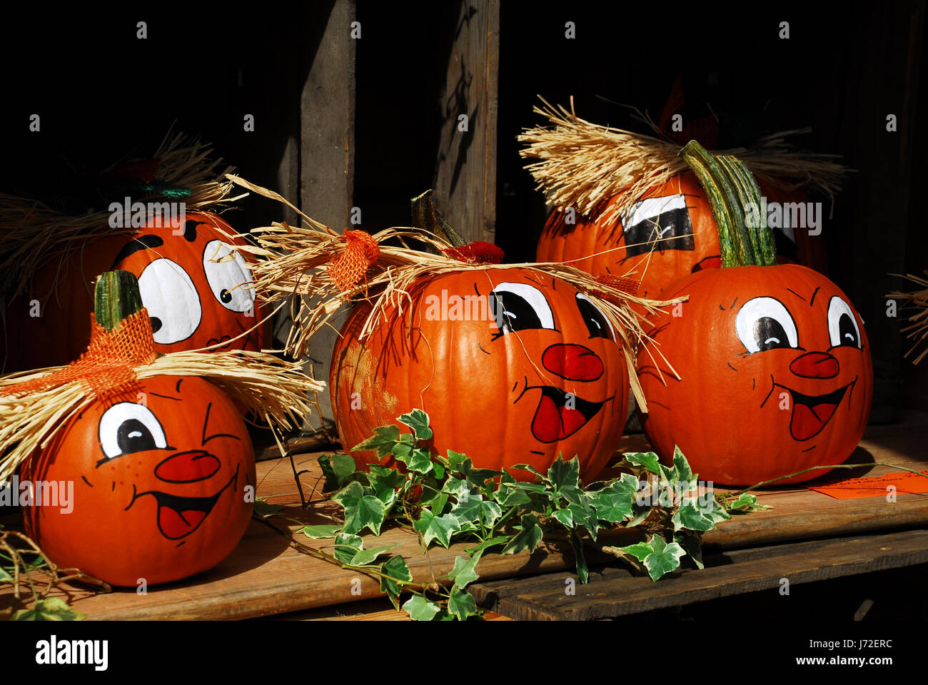 face pumpkin thick wide fat face coloured colourful gorgeous ...