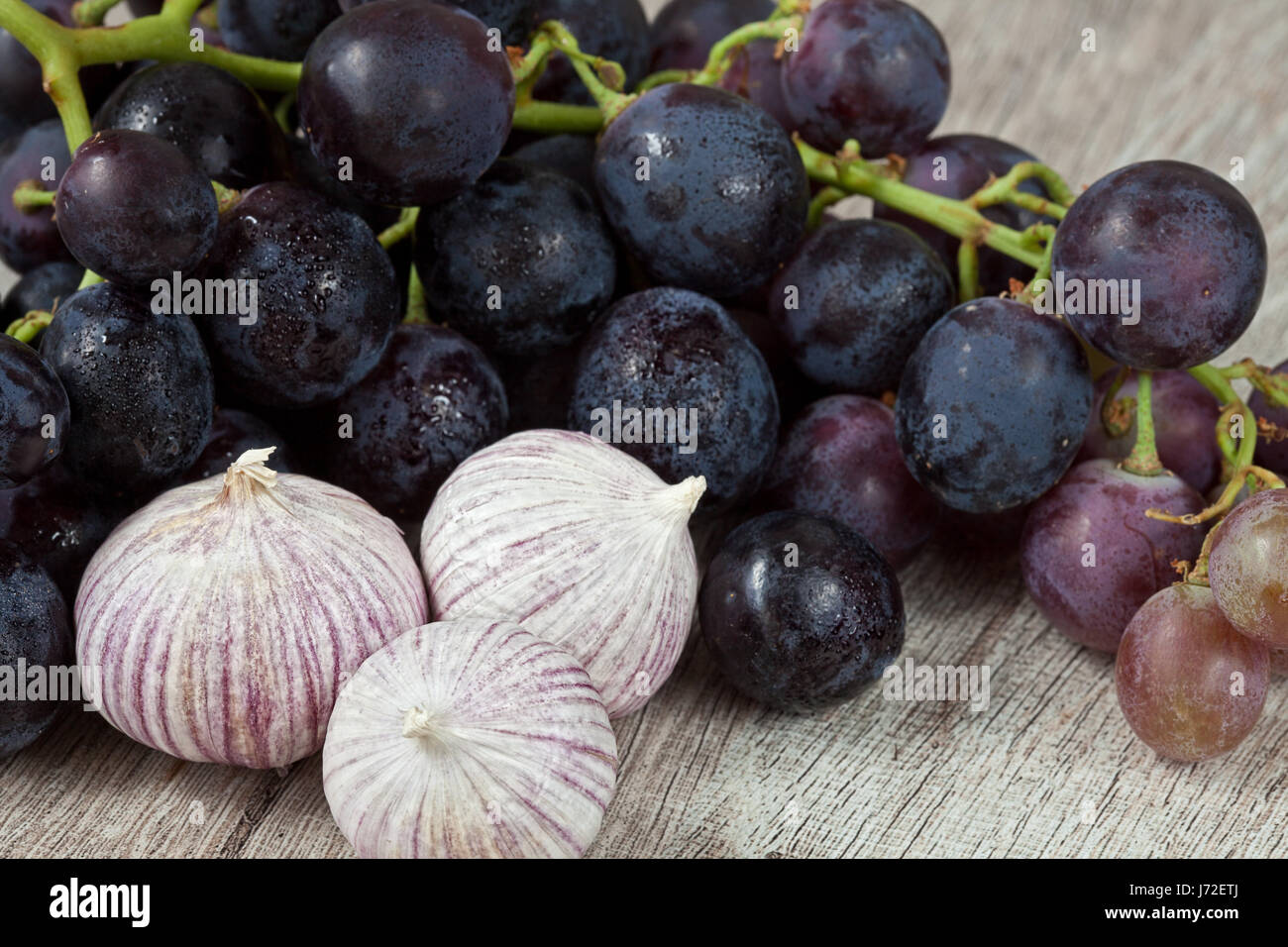 food aliment fruit garlic edible vine grape vine grape-vine grape blue ...