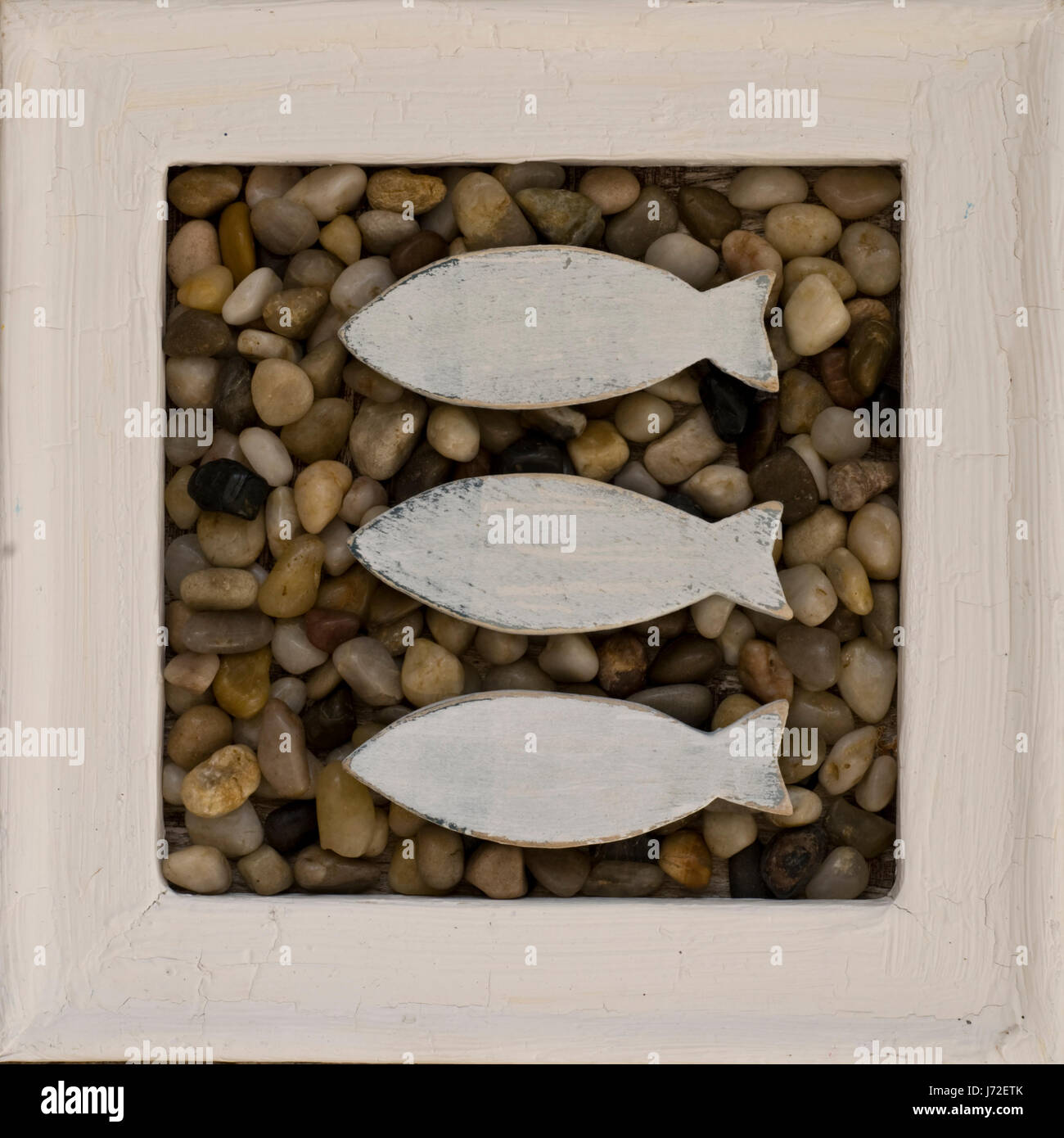 blue wood maritime fish decoration frame framework still life blue wood ...