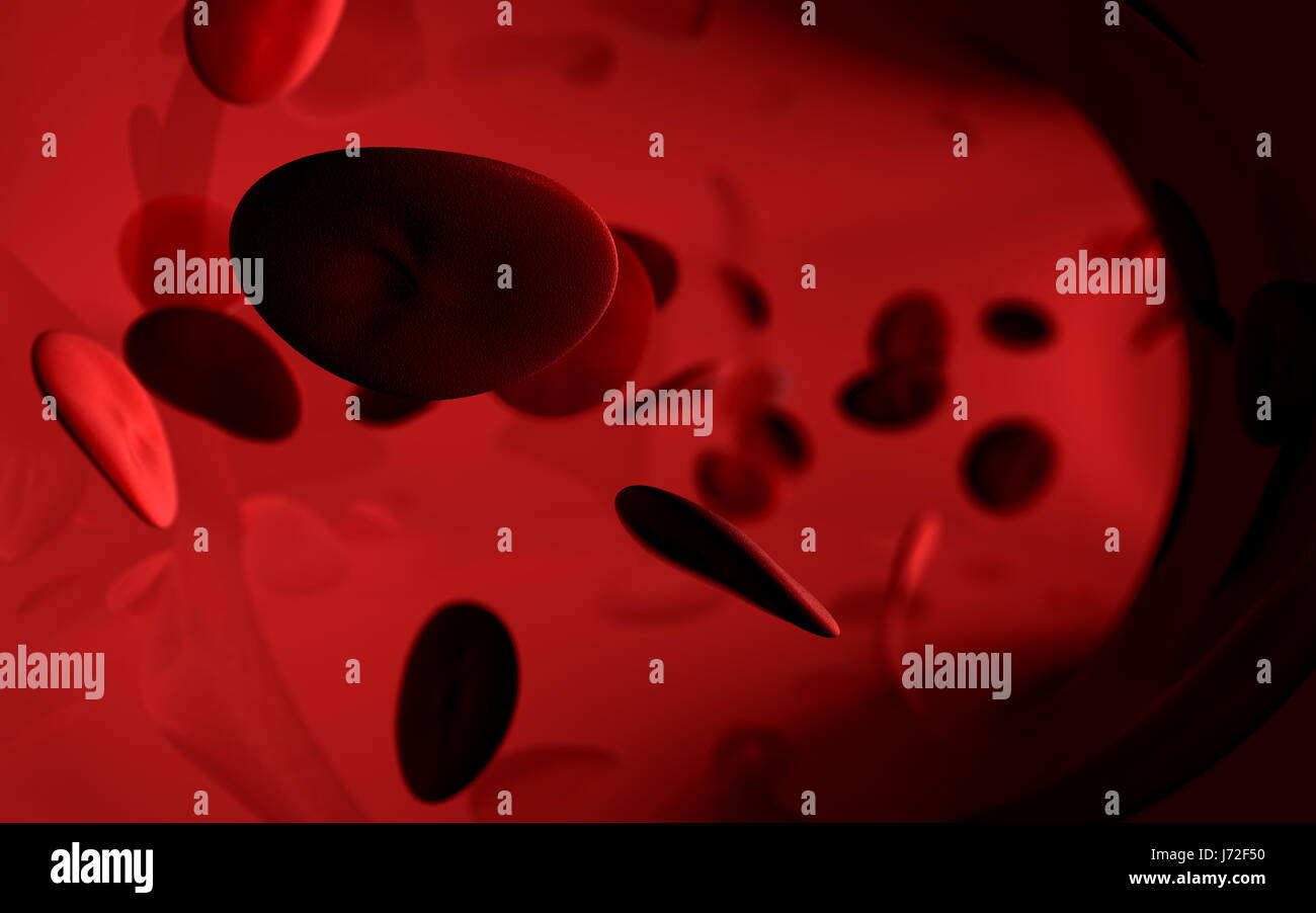 Catarrh bacterium hi-res stock photography and images - Alamy