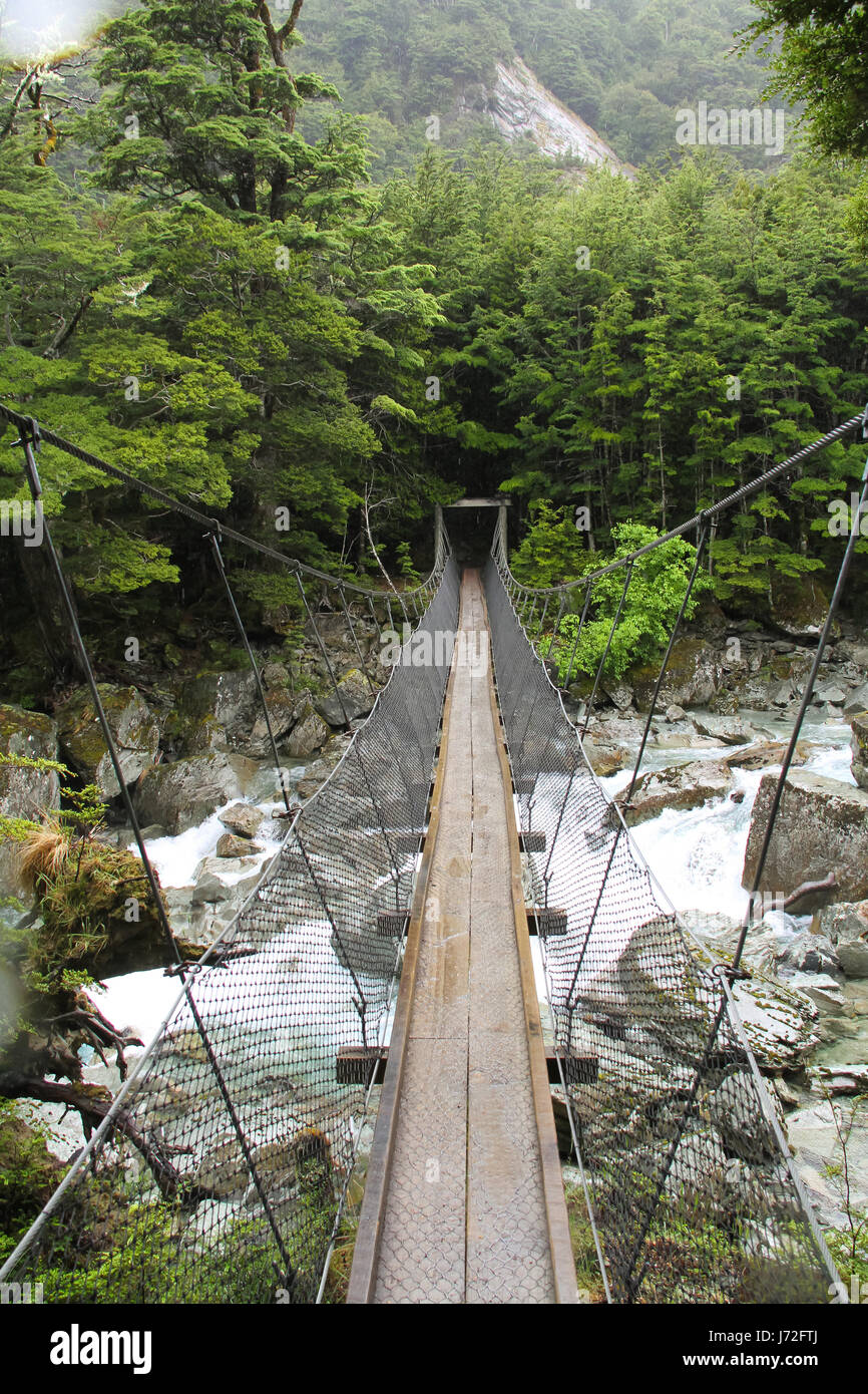 Hanging bridge over wild river in New Zealand - near Kinloch Stock ...