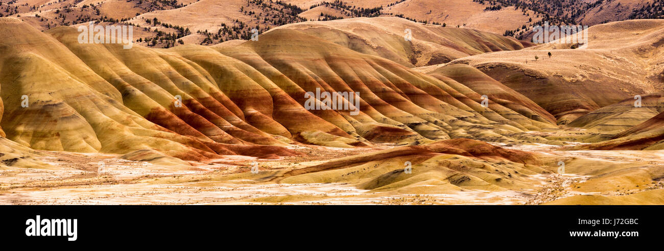 Panoramic view of colorful mineral and rock deposits in Oregon at the ...
