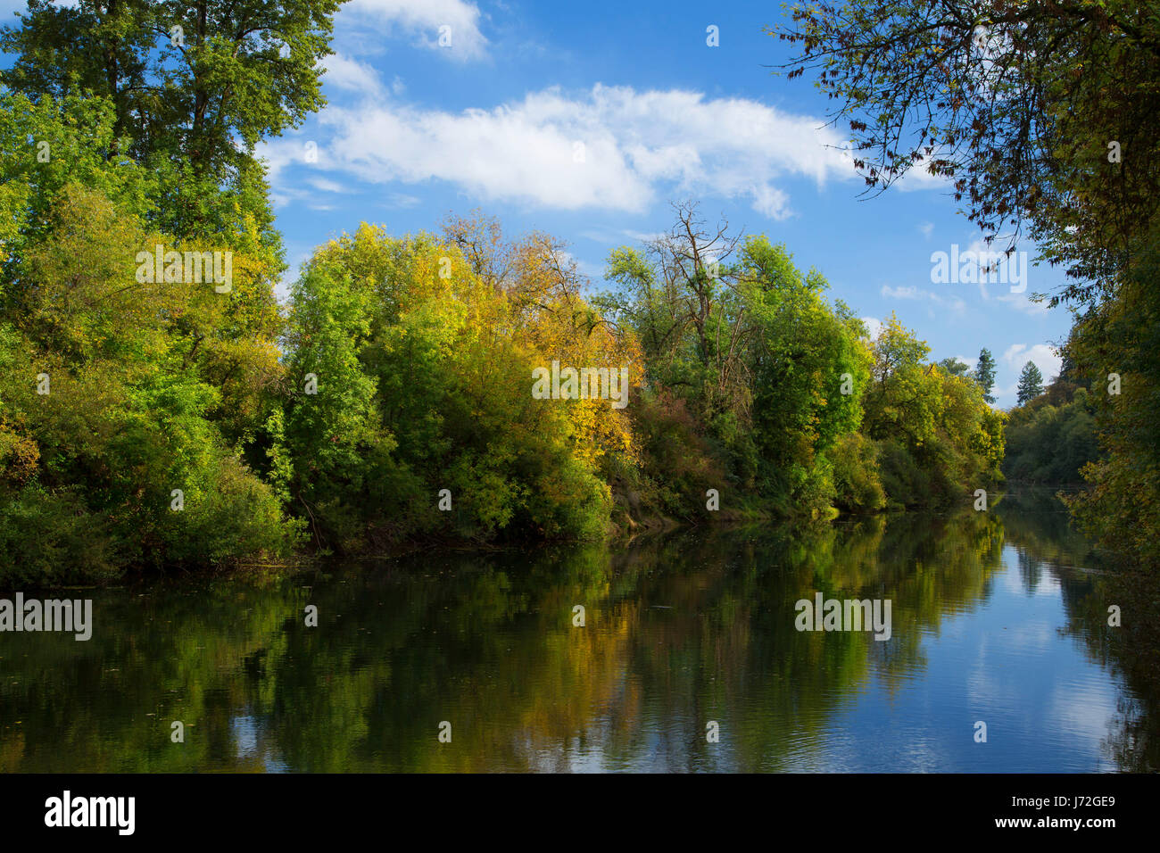 Yamhill River, Dayton Landing County Park, Dayton, Oregon Stock Photo ...