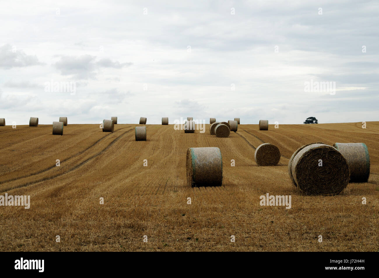 acre straw ball farmer straw land realty ground topsoil harvest food ...