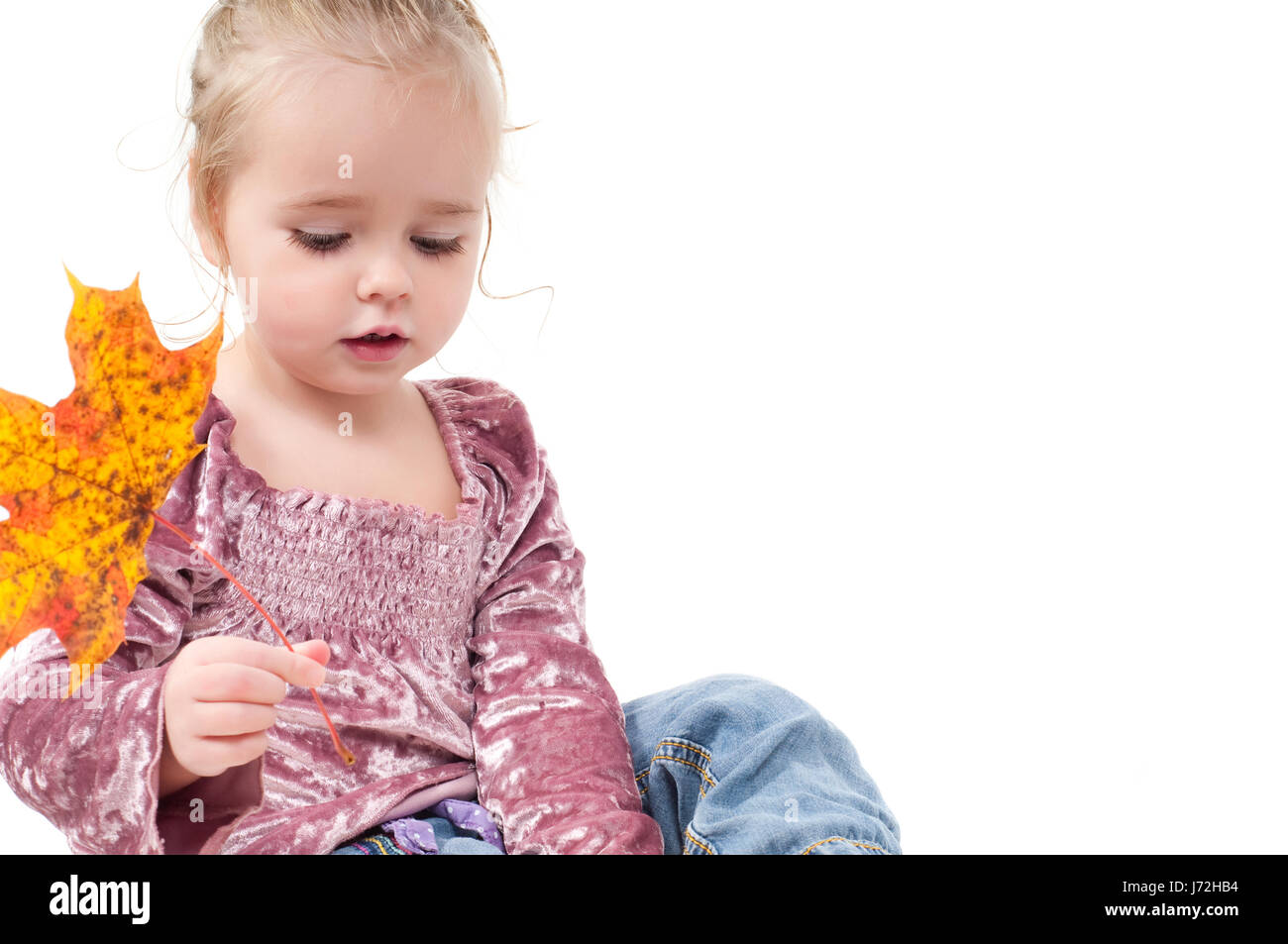 leaf maple kid girl girls yellow toddler humans human beings people ...