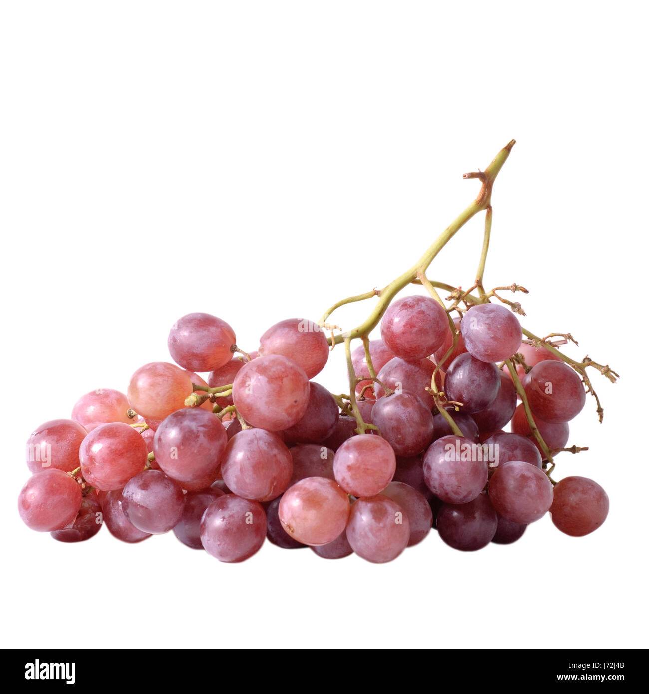 sweet fruit raw edible tasty fresh nature vine grape vine grape-vine ...