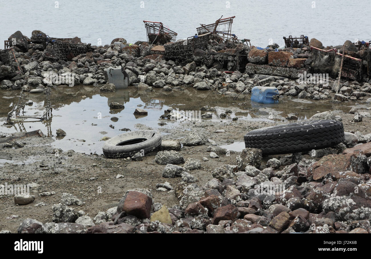 coast pollution salt water sea ocean water danger environment ...