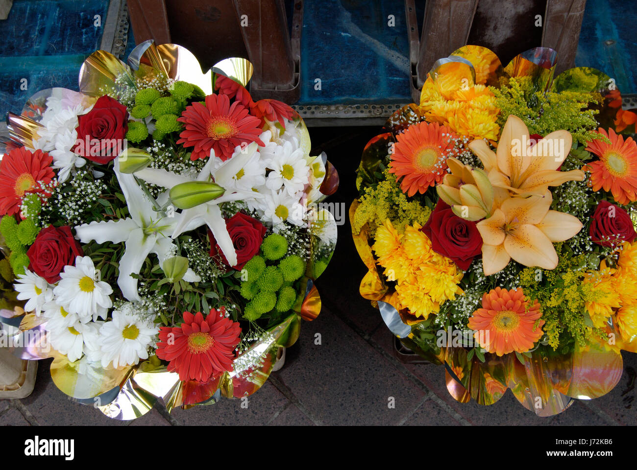 bloom blossom flourish flourishing flower flowers plant france bouquet ...