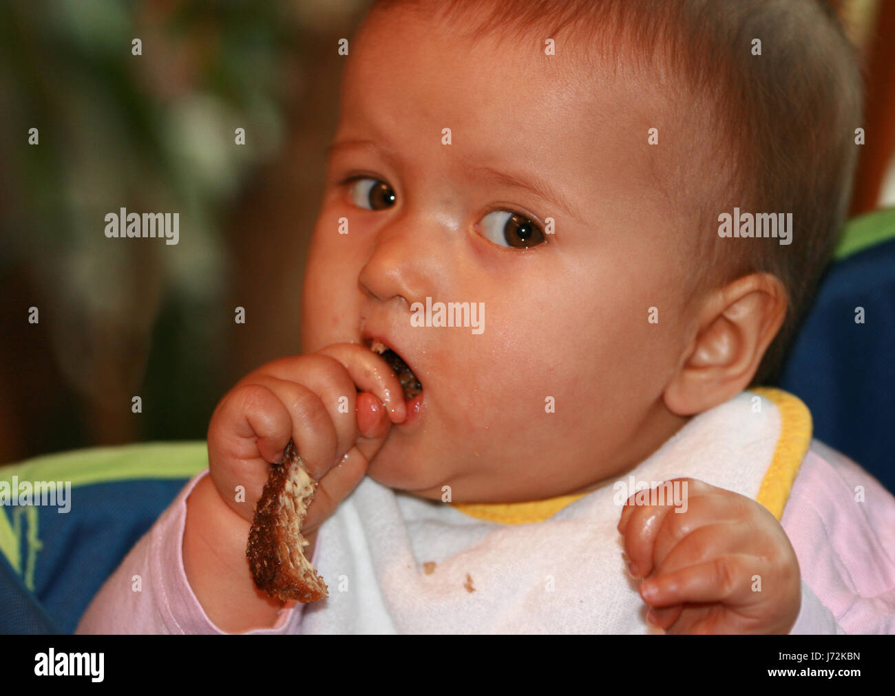 baby baby face independent child eating eat eats chewing chew chewes ...