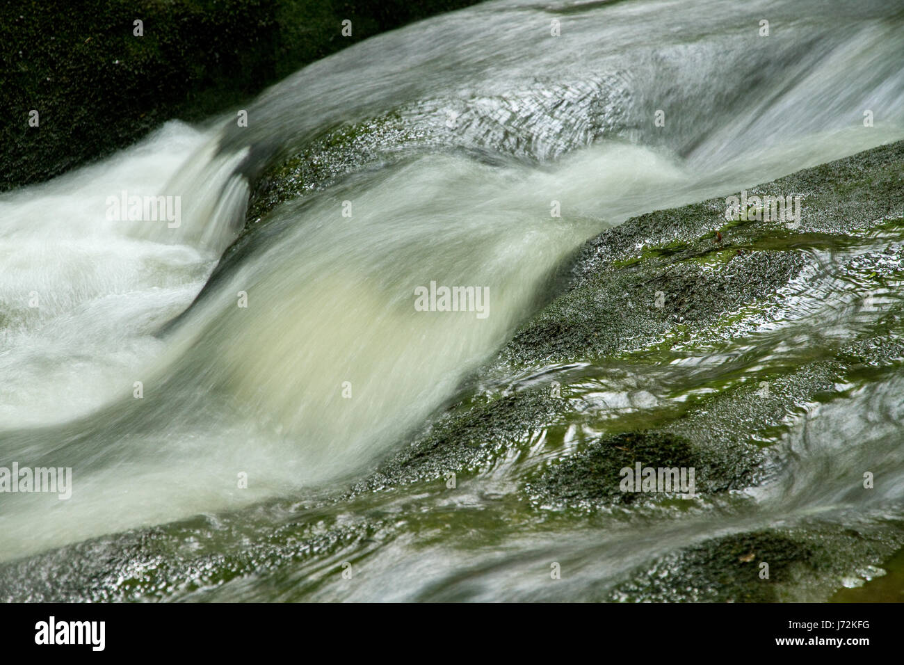 stream waterfall whirlpool wilderness vortices forest river water ...