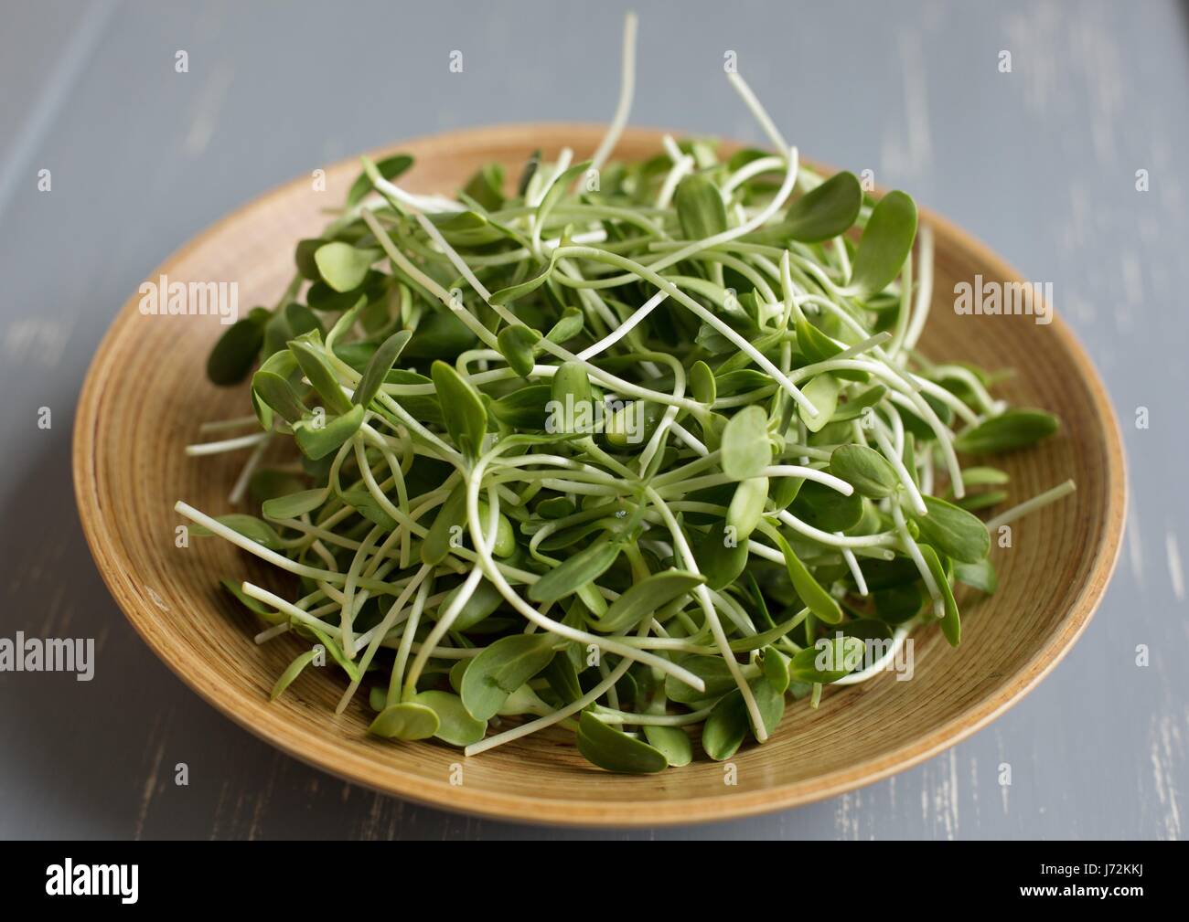A bowl of sunflower sprouts Stock Photo - Alamy