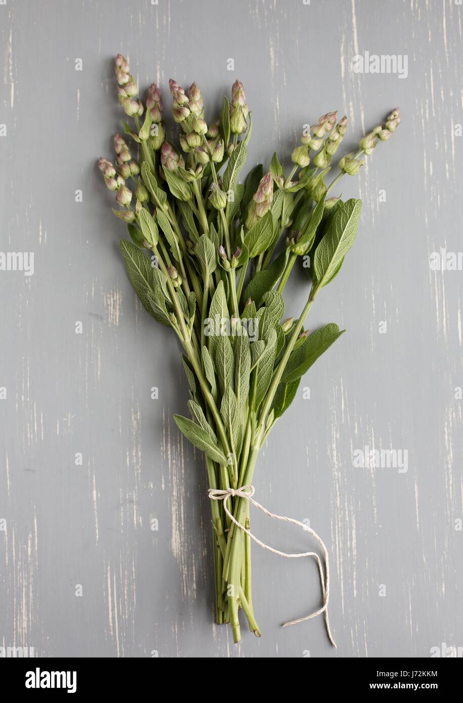 Tied to a string hi-res stock photography and images - Alamy