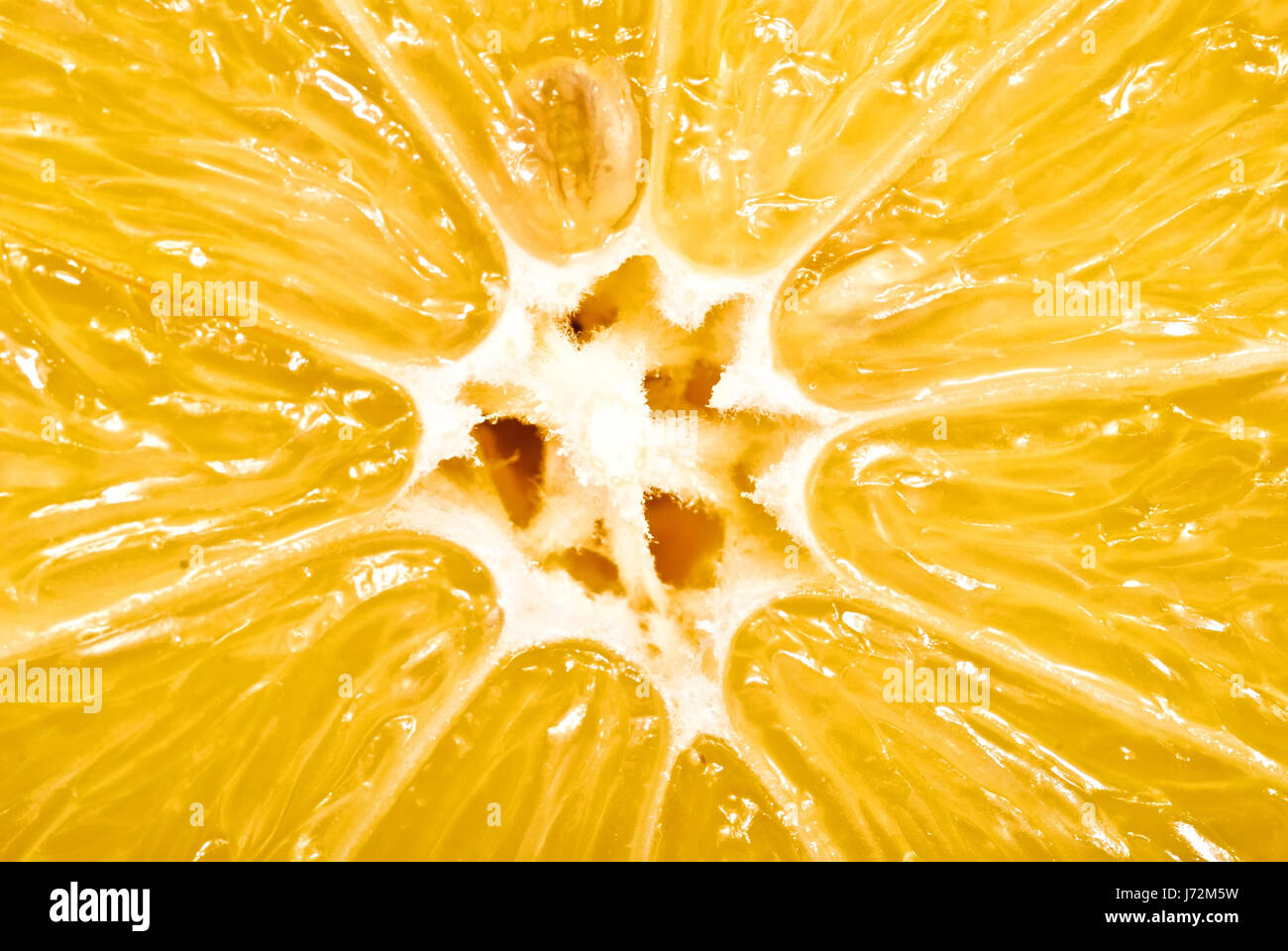 Zitonensure hi-res stock photography and images - Alamy