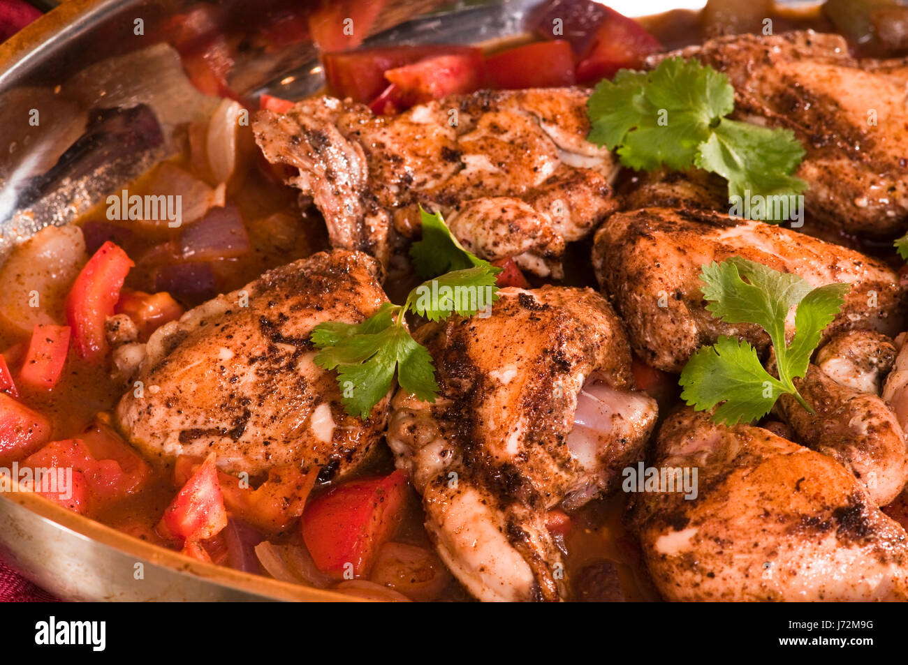 food aliment onion chicken edible ingredient meat fresh food aliment ...