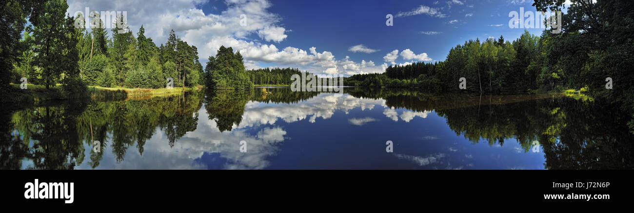 mirroring fresh water pond water carp pisciculture carp pond salt water ...