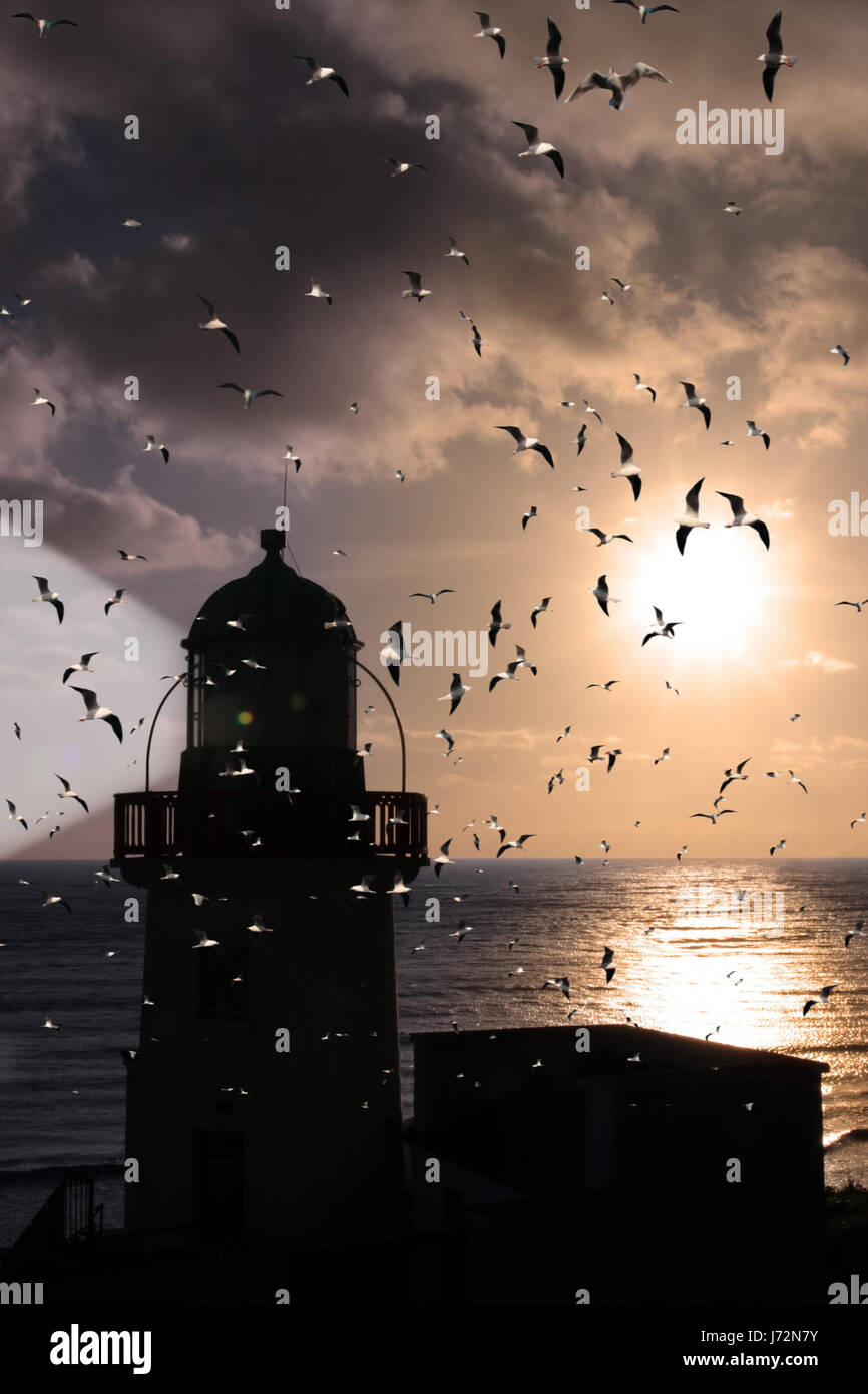 beam beach seaside the beach seashore birds dramatic dusk beacon ...
