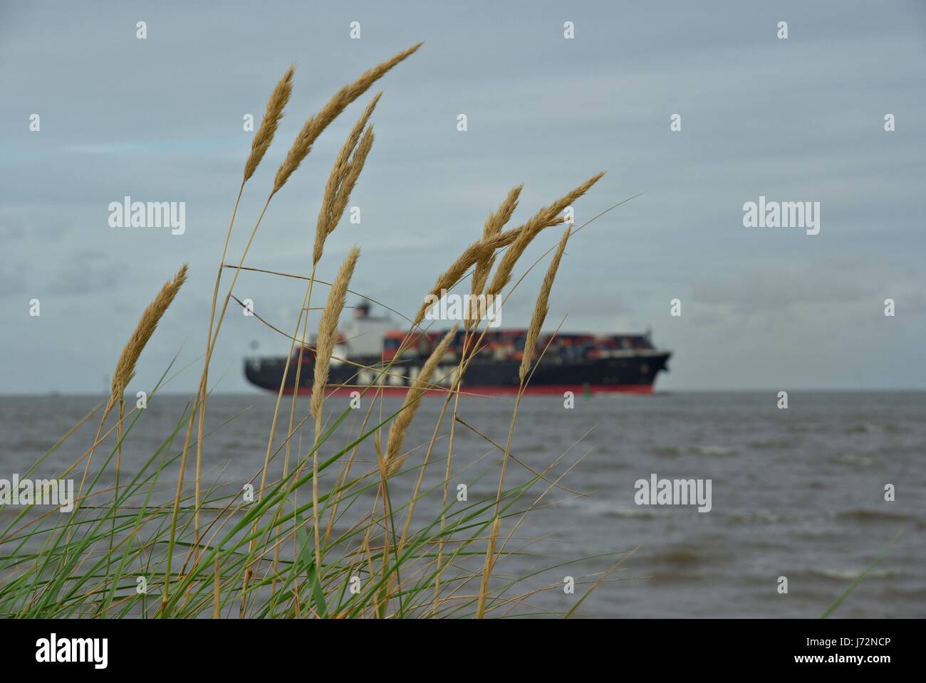 grasses meadow grass lawn green ships sailing boat sailboat rowing boat ...