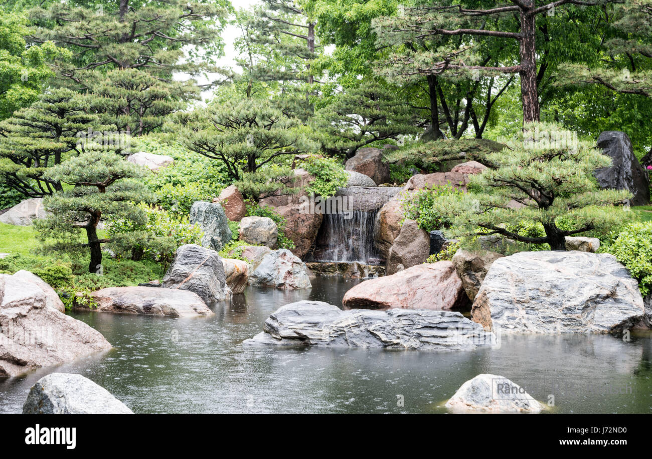 A waterfall drops into a pond in a Japanese garden Stock Photo - Alamy