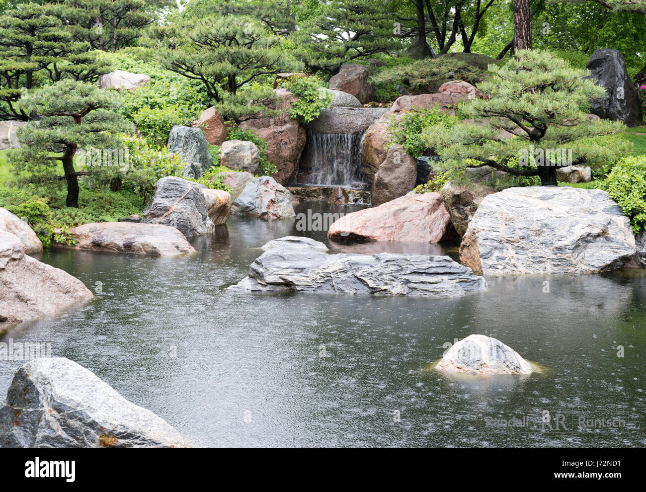 A waterfall drops into a pond in a Japanese garden Stock Photo - Alamy