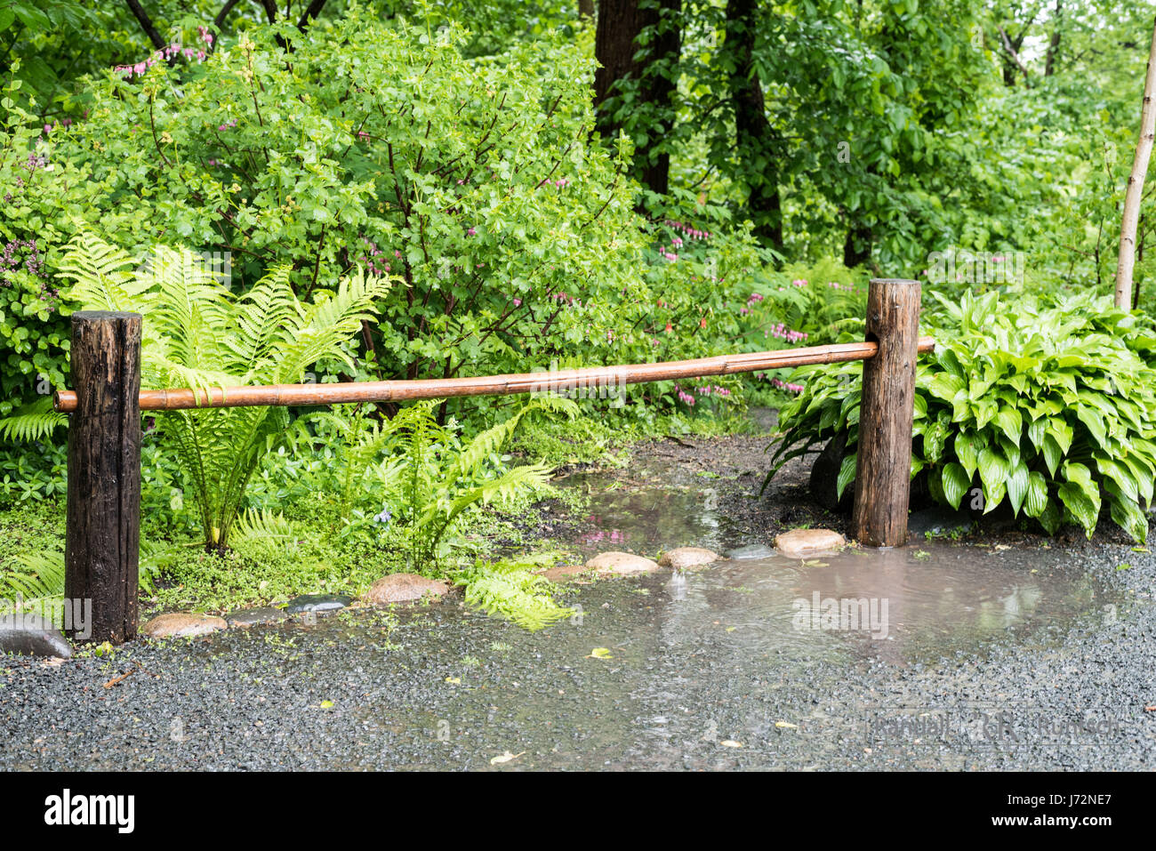 Simple footpath hi-res stock photography and images - Alamy