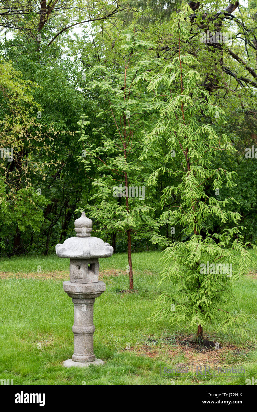 Japanese lantern made of stone in a japanese garden Stock Photo - Alamy