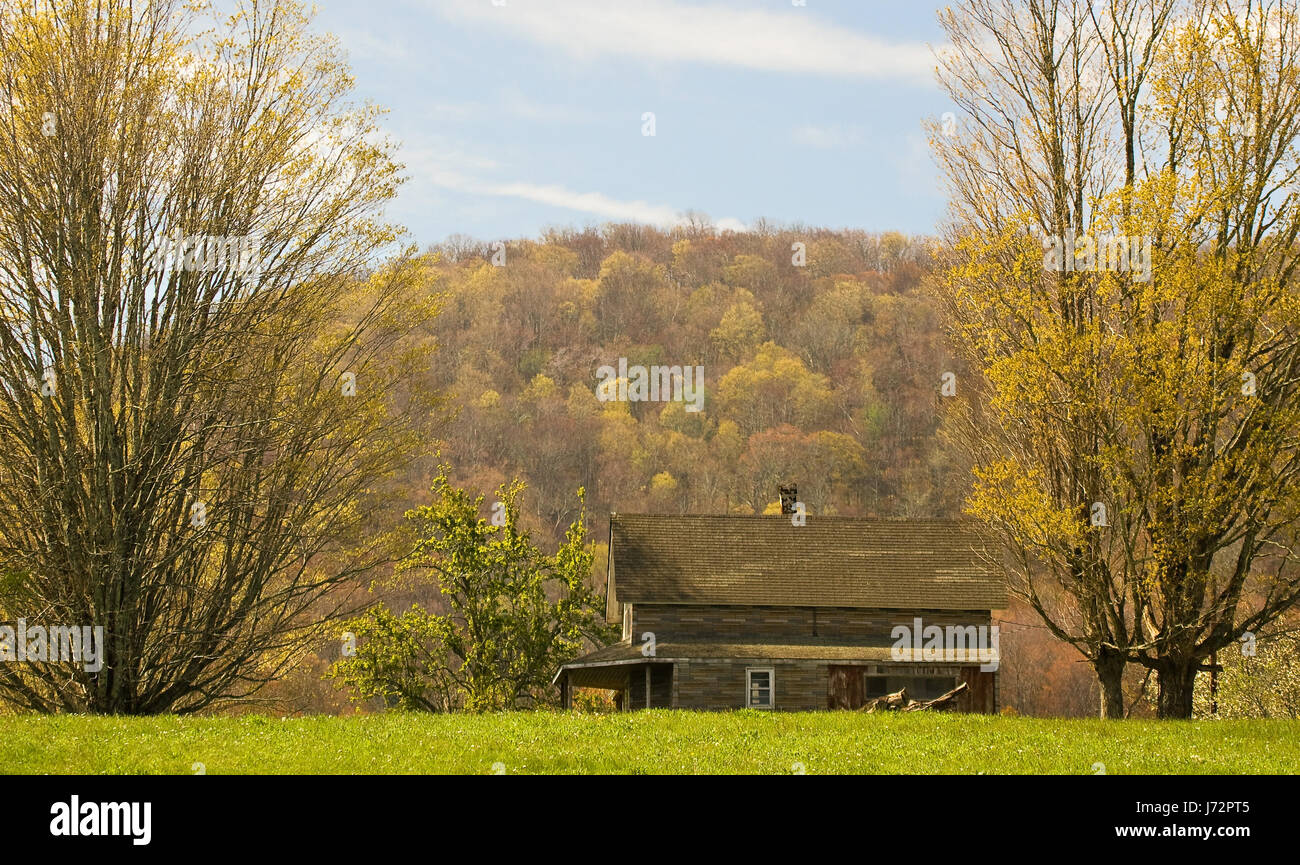 house building tree trees wood country home landscape scenery ...