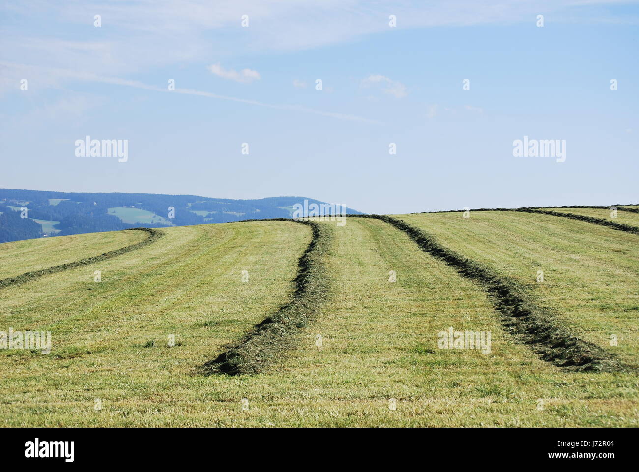 agriculture farming hay array mountain meadow mow mowed meadow ...