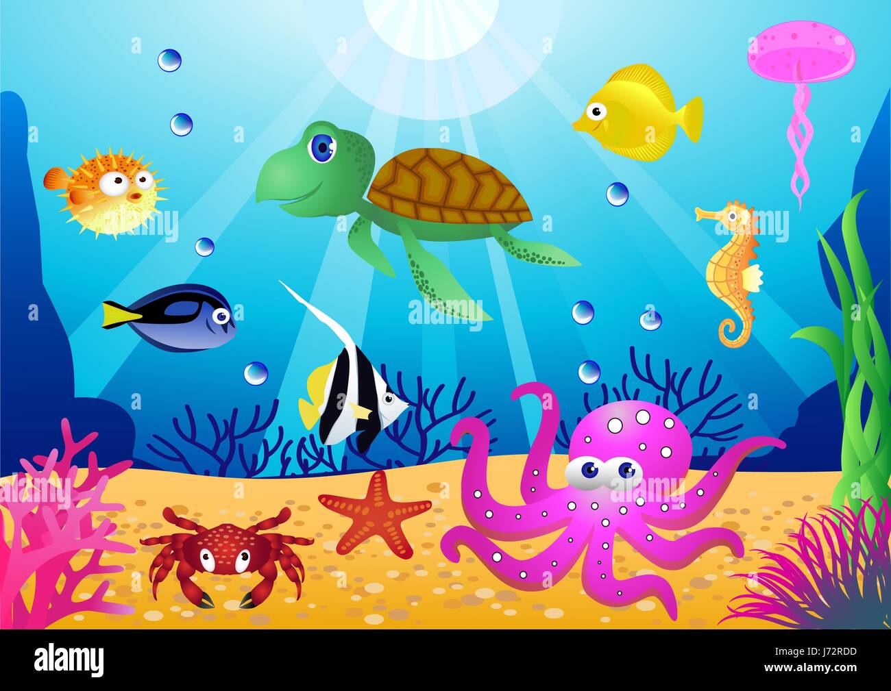 fish navy marine salt water sea ocean water backdrop background nature ...