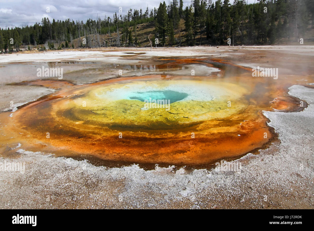 hot spring bouncing bounces hop skipping frisks jumping jump colorful ...