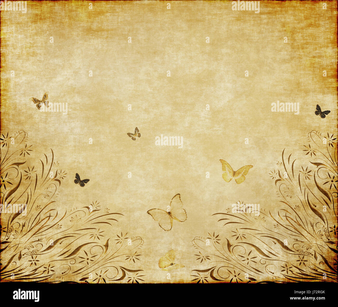 butterfly flower flowers plant sheet of paper paper vellum parchment ...