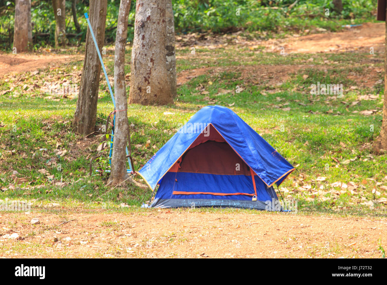 Colorful tent on the camping ground of national park Stock Photo - Alamy