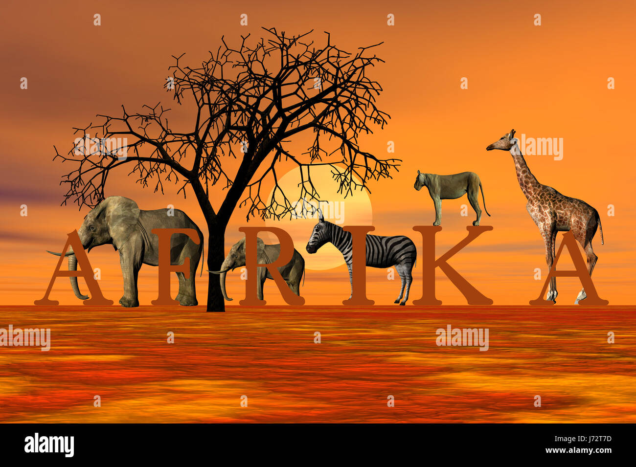 wild africa elephant animals elephants collage giraffe savage haggardly ...