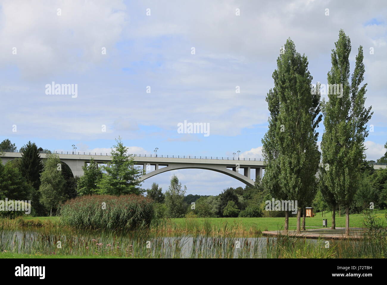 city town tree trees window porthole dormer window pane bridge ...