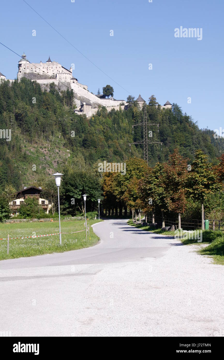 tree pavement throw cycle track path way mountain blue tree mountains ...