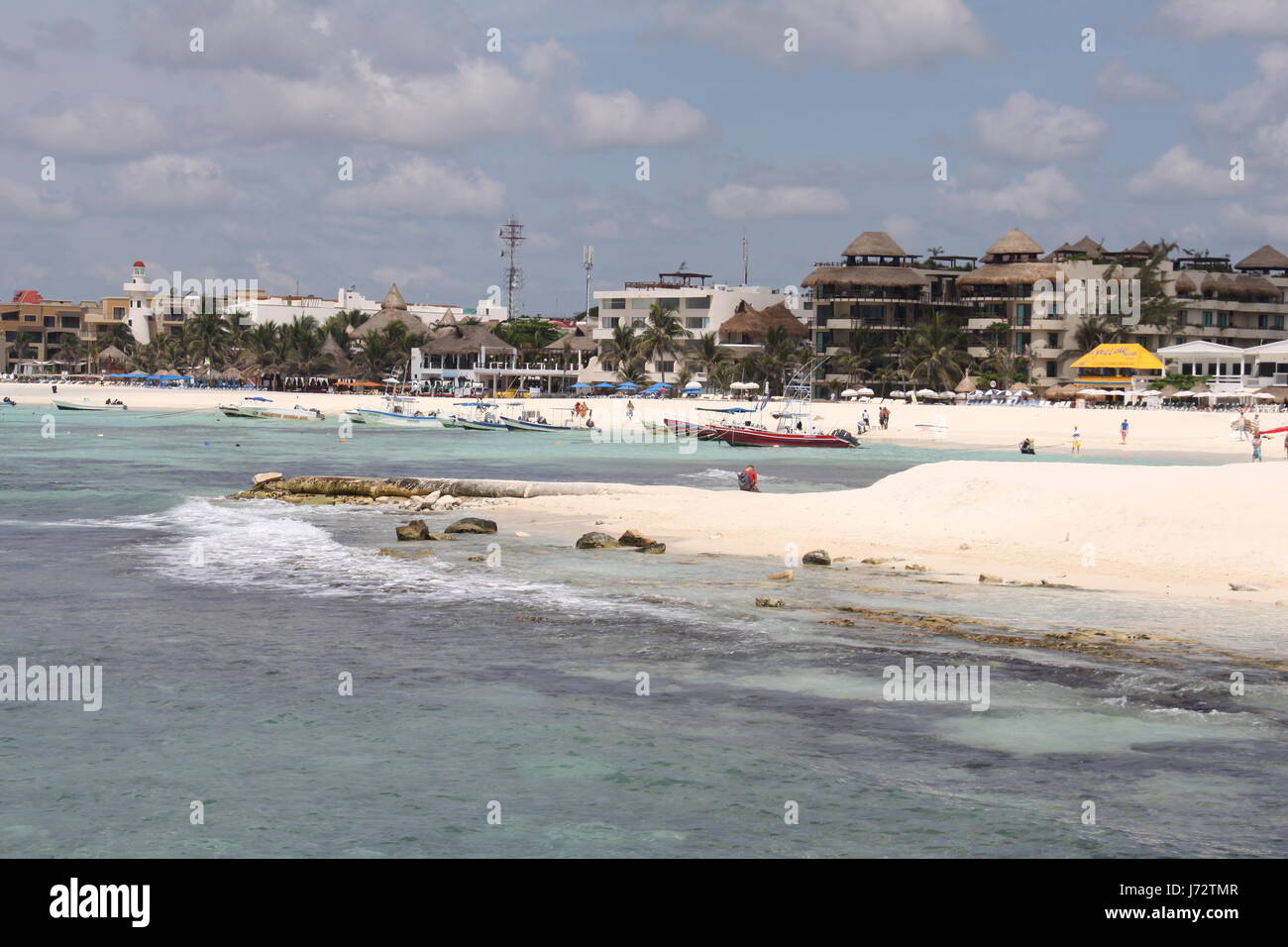 beach seaside the beach seashore palms coast palm tree bay mexico ...