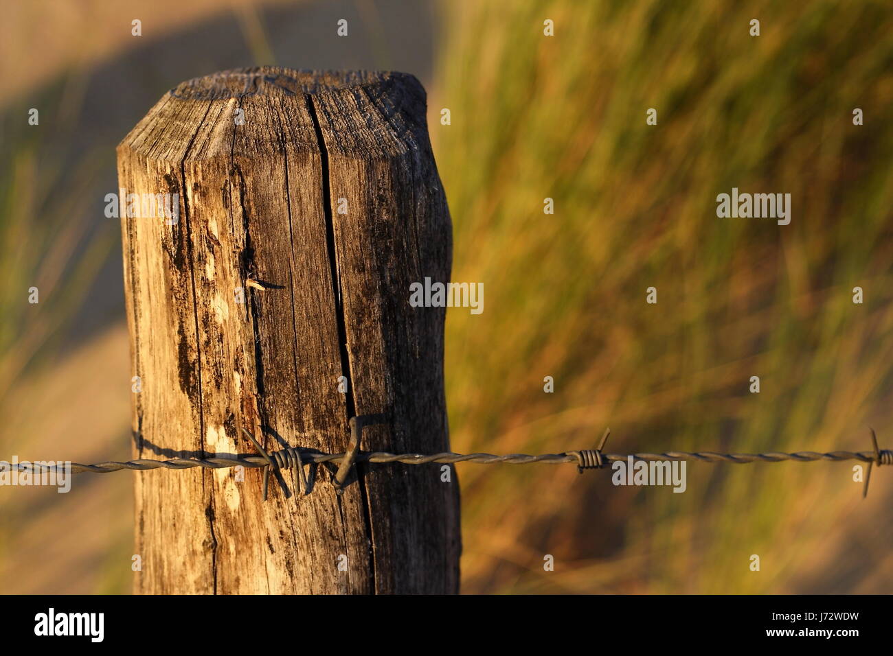green wood barrier delimitation barbed wire nature green wood barrier ...