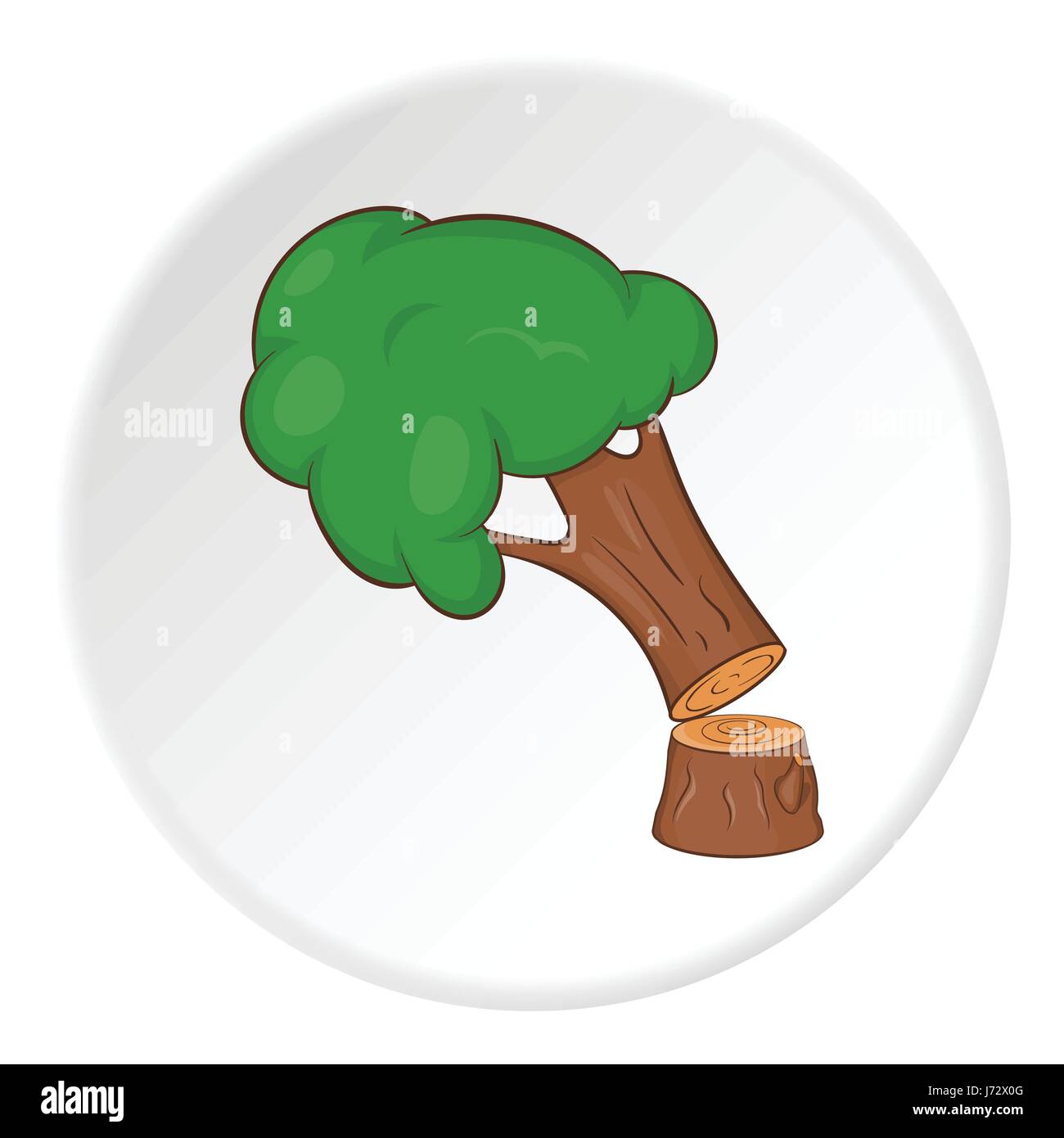 Texture felled tree natural Cut Out Stock Images & Pictures - Alamy