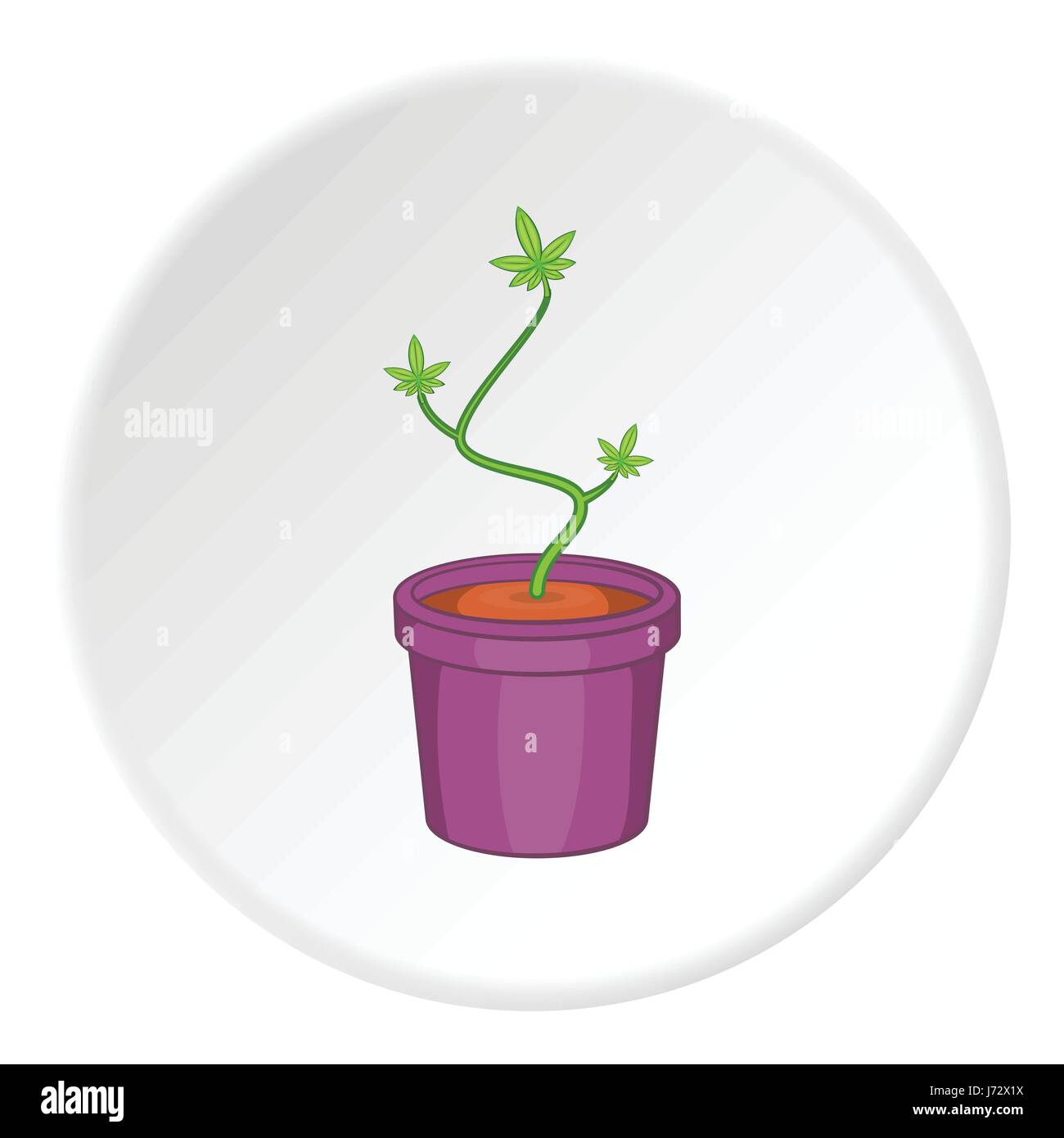 Pot marijuana icon, cartoon style Stock Vector Image & Art - Alamy