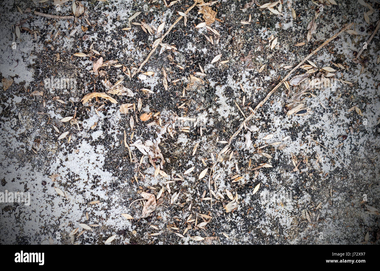 texture of cement stone wall Stock Photo - Alamy