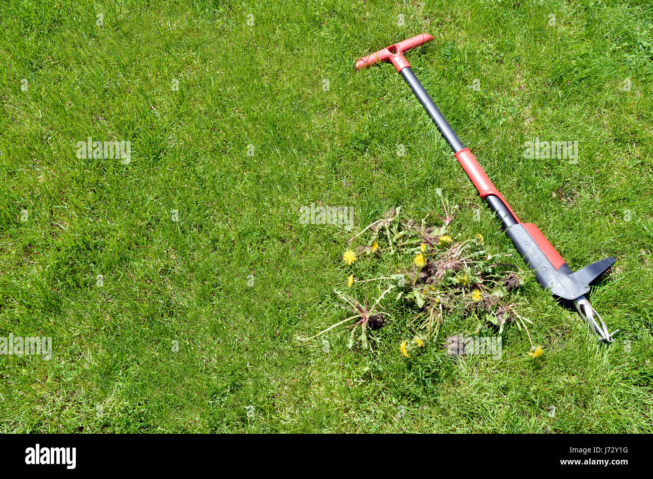 Weeds and lawn maintenance tools Stock Photo - Alamy