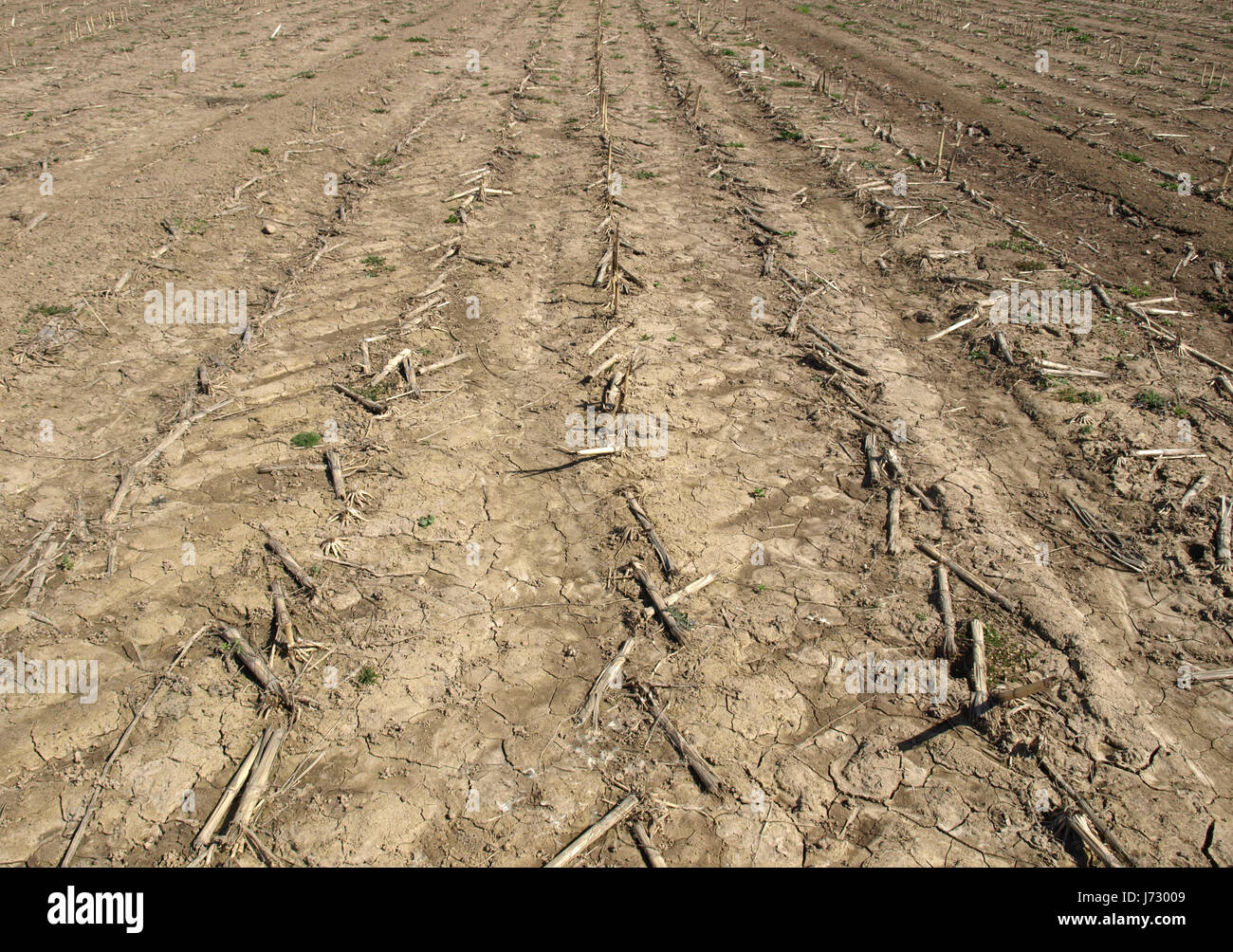 ground soil earth humus brown brownish brunette field blank european ...